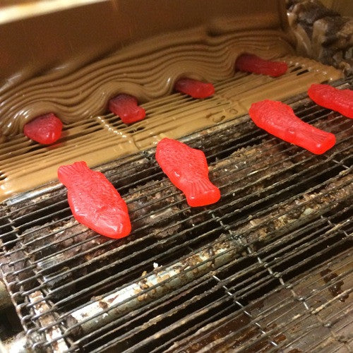 Milk Chocolate Swedish Fish – The Chocolate Delicacy