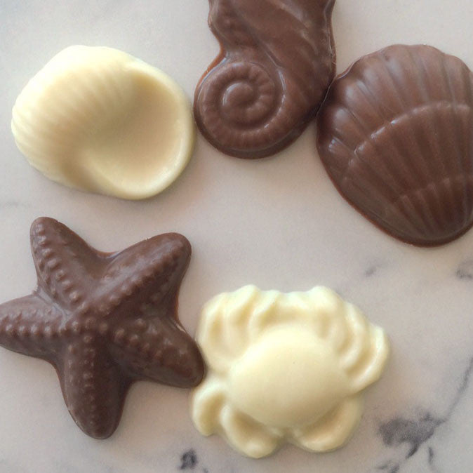 Assorted Mini Shells & Sea Themed Chocolates – The Chocolate Delicacy